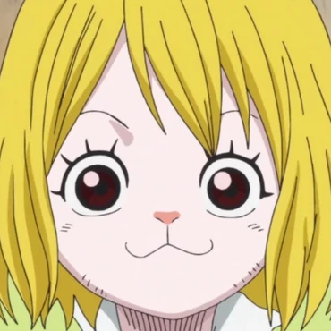 Who's the Cutest One Piece Character? | Fandom