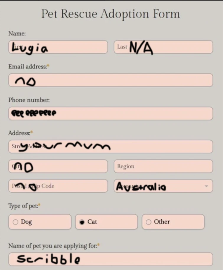 Cat thing for adoption: Scribble | Fandom