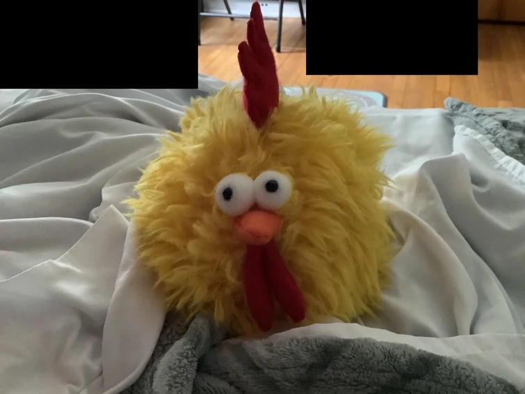 Back to show you Chicken | Fandom