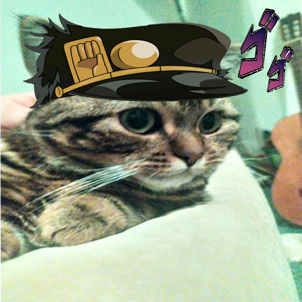 ON TOPIC CAT FACE REVEAL | Fandom