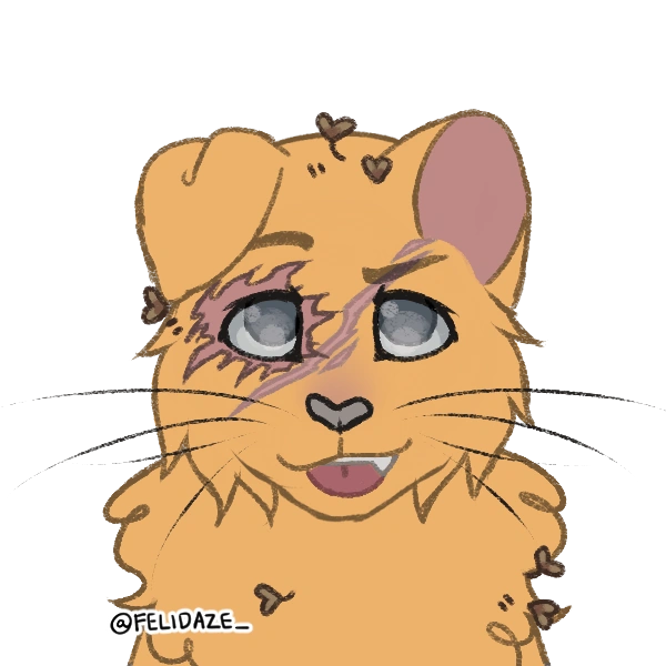 my only non-pure cat | Fandom