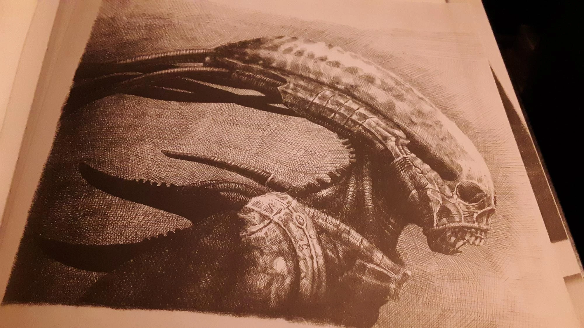 Xenomorph in David's Drawings | Fandom