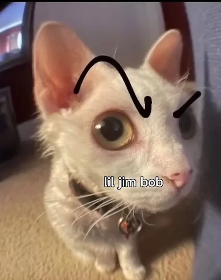 guys whats the ro cleaner api ban list | Fandom