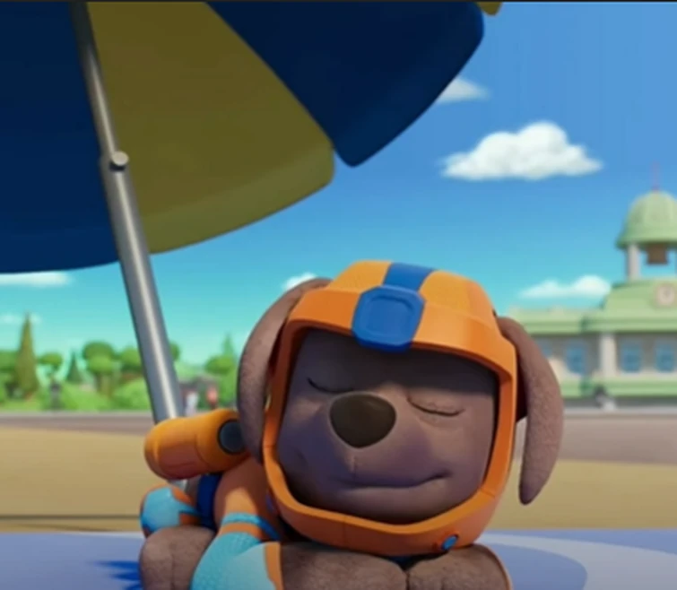 Zuma Falling Asleep | Fandom