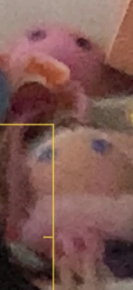we see everything | Fandom