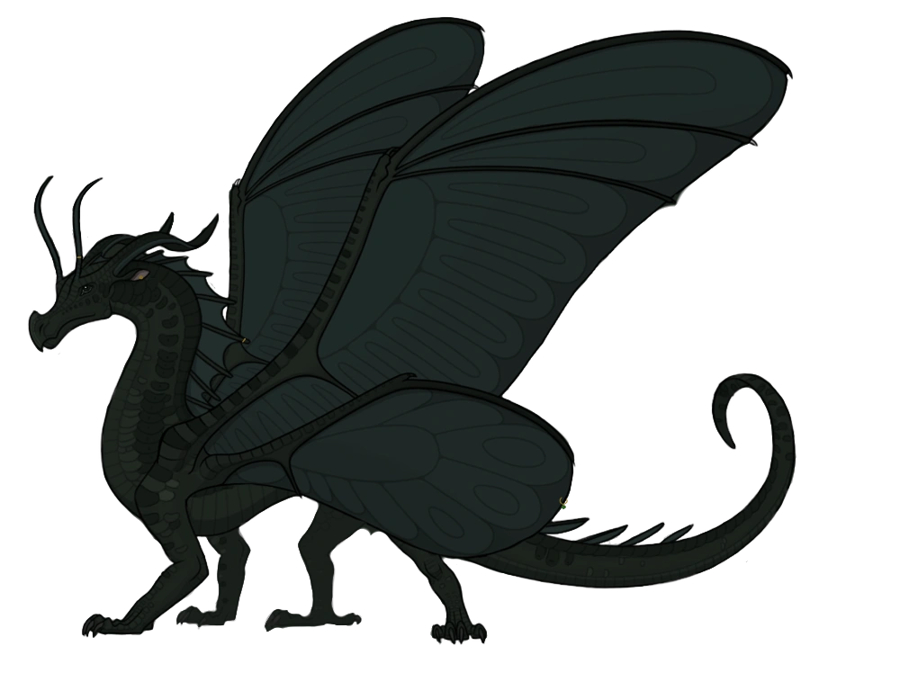 I need Toyhouse code for register | Fandom