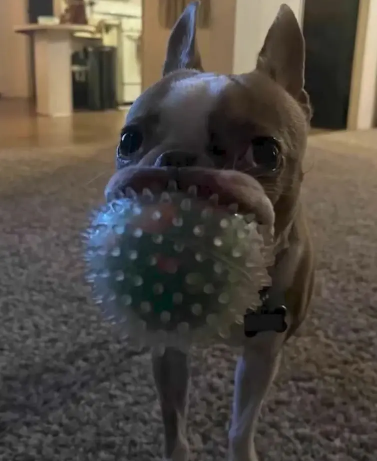 MAKE A STORY | Fandom