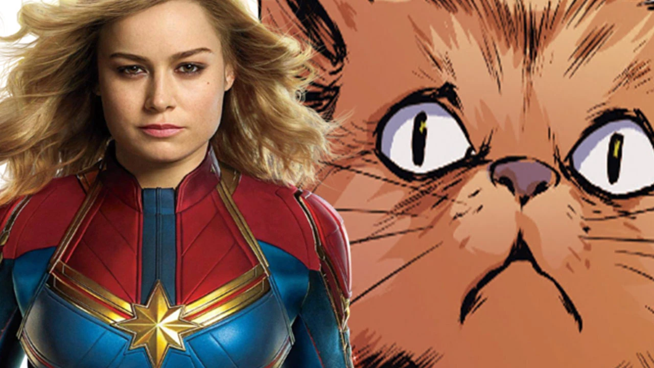 Everyone Needs to Get Excited About Captain Marvel’s Cat | Fandom