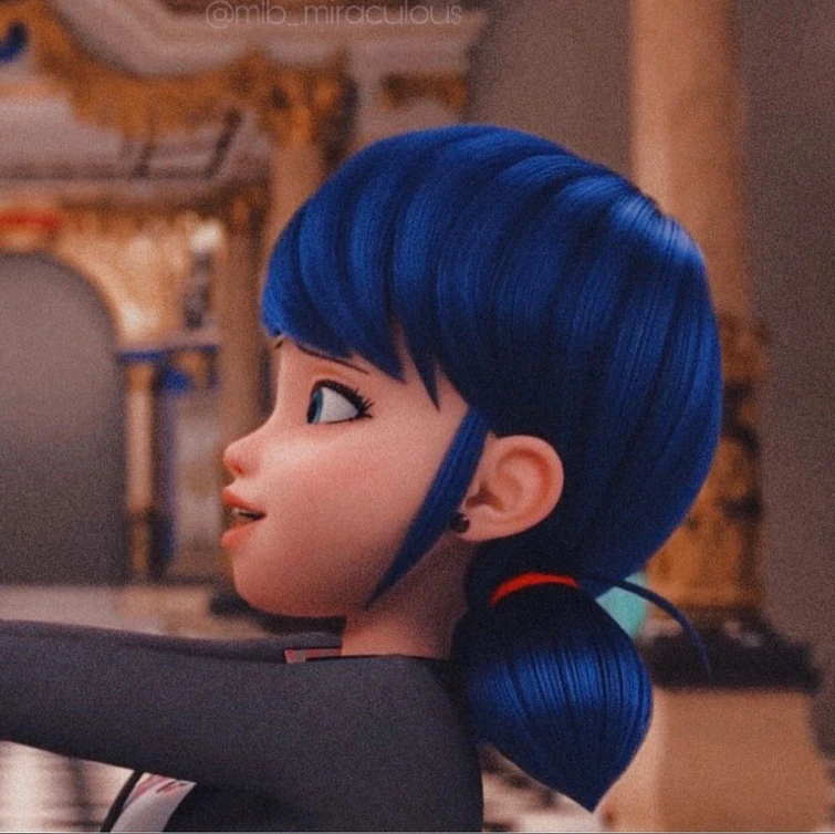 Miraculous ladybug - Matching Profile pictures | Fandom
