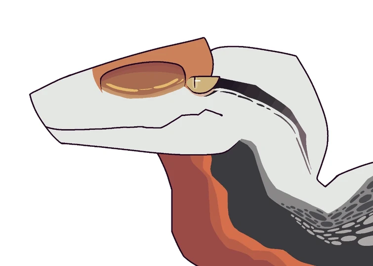 just some maip macrothorax | Fandom