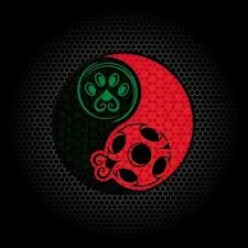 Hola... Am... | Fandom