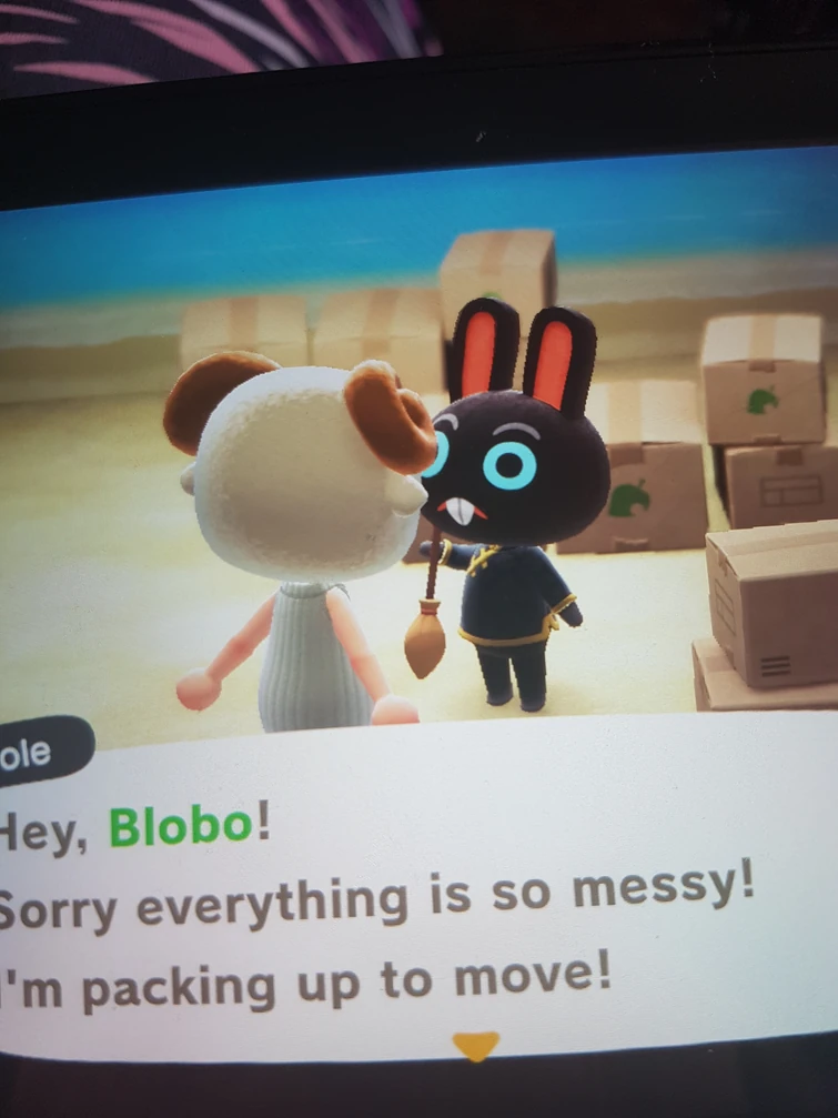 Discuss Everything About Animal Crossing Wiki | Fandom