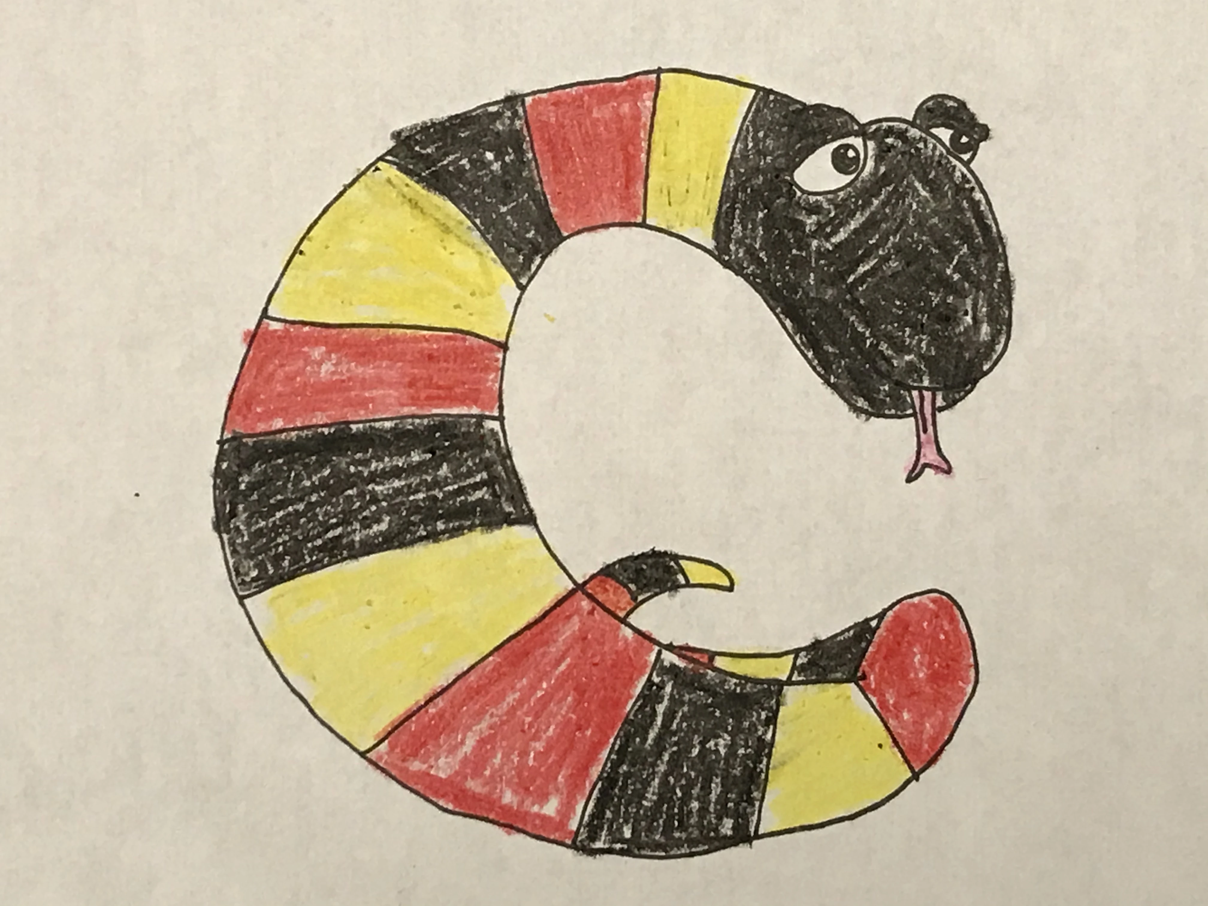 Coral Snake in Alphabetimals | Fandom