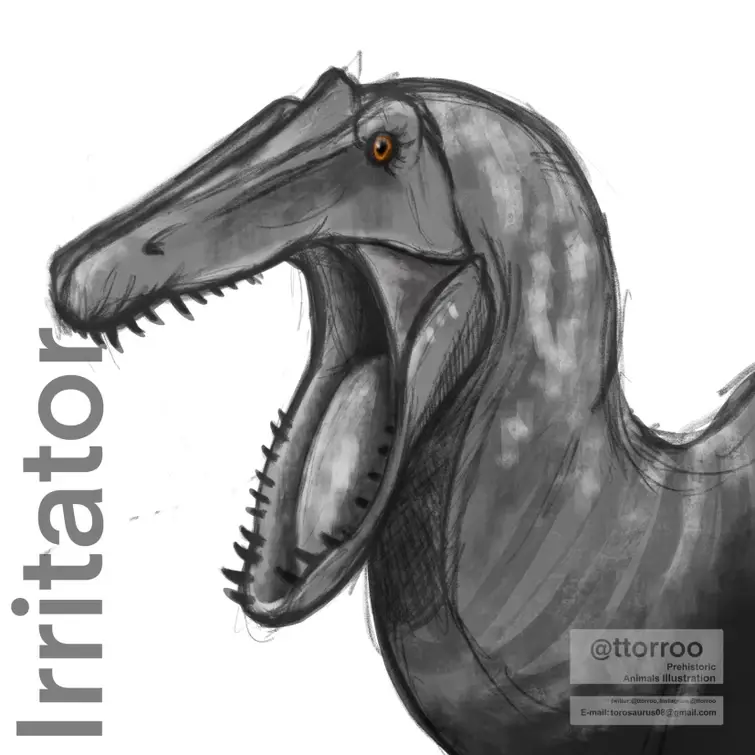 Irritator osteology is out | Fandom