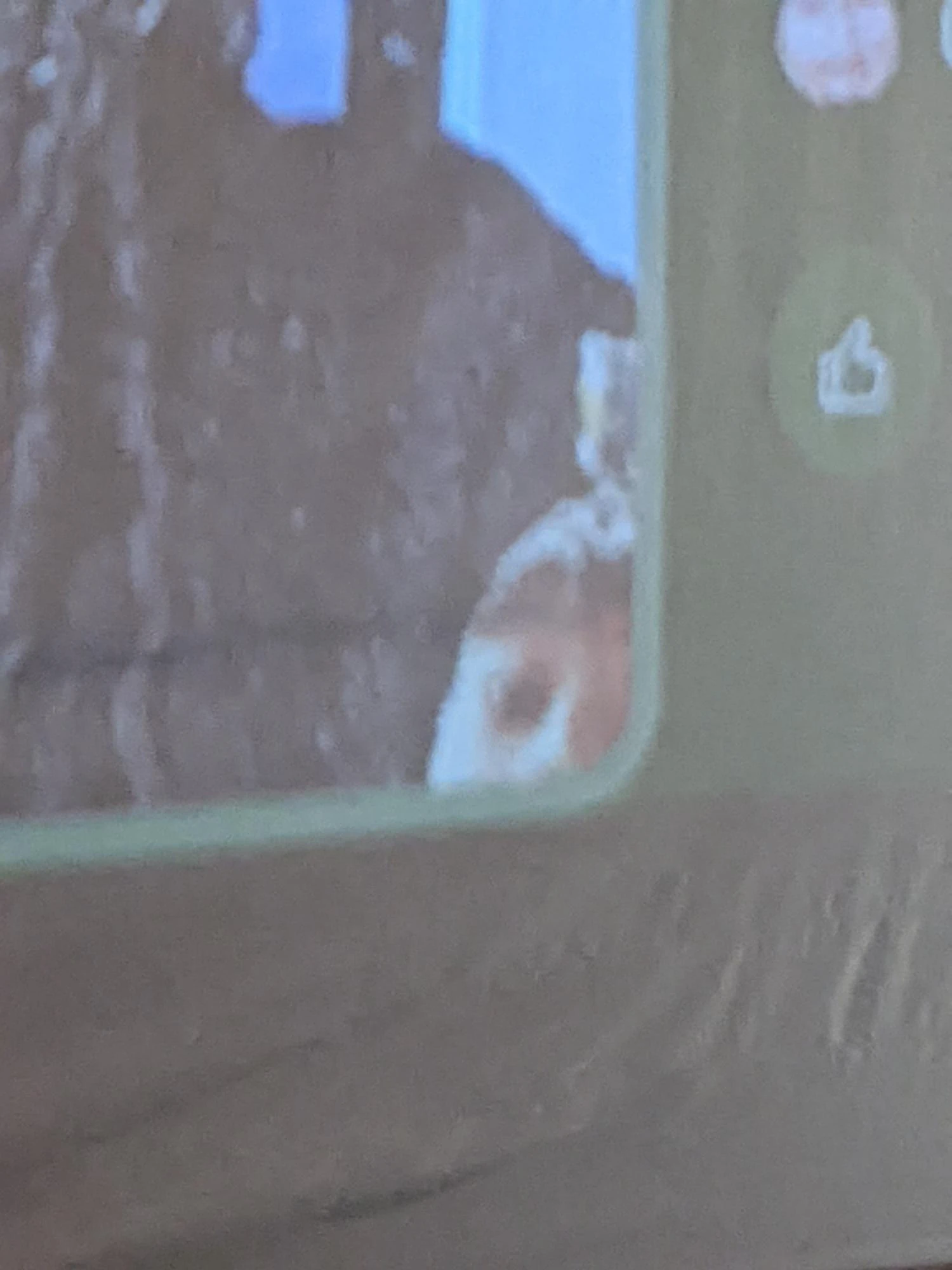 Green-screen kid💀 | Fandom