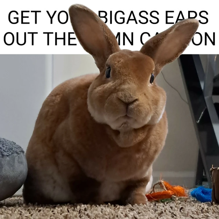 this image is so friggin funny to me i don't know why 😭 | Fandom