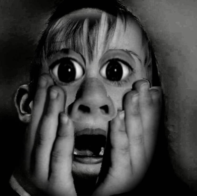 Some random joke phases that I made | Fandom