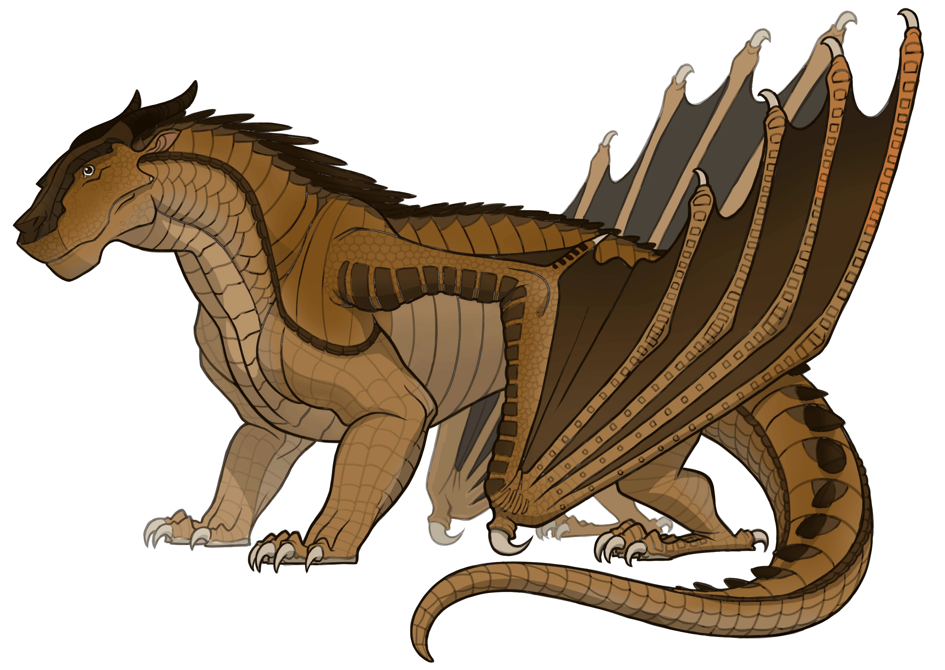 JA ref design! | Fandom