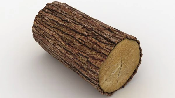 Some random log | Fandom