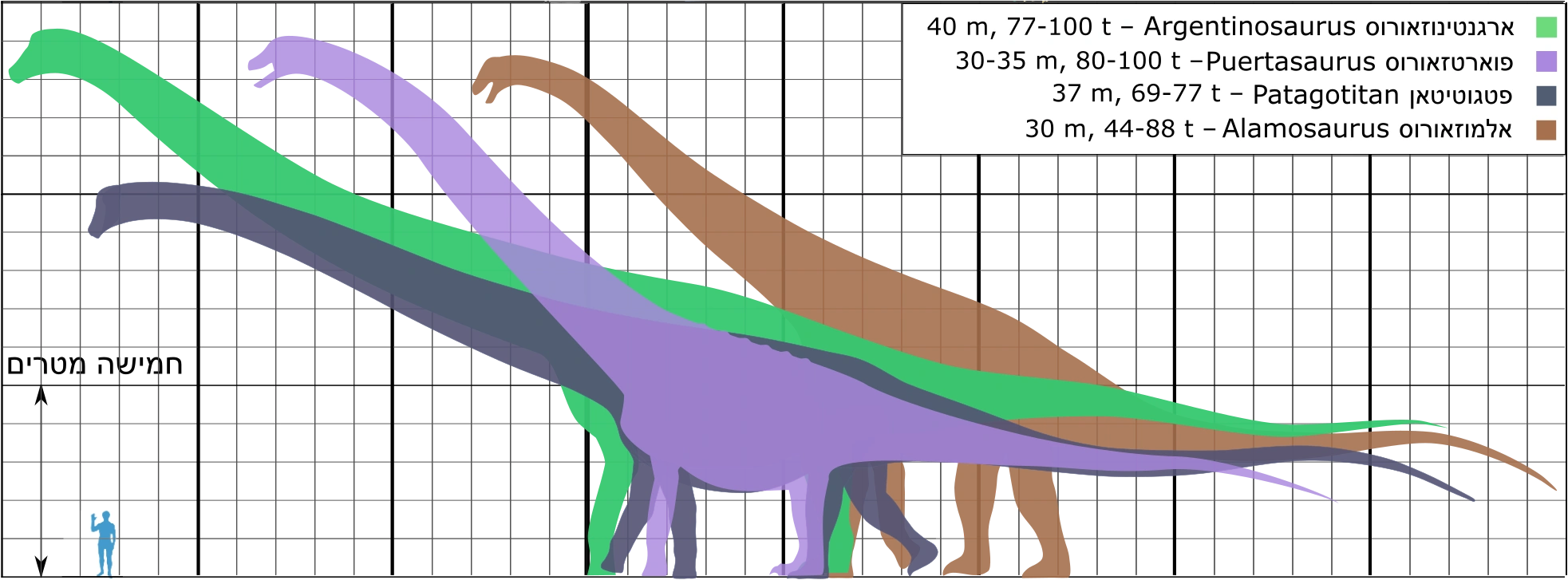 Titanosaurs : Largest Creatures ever | Fandom