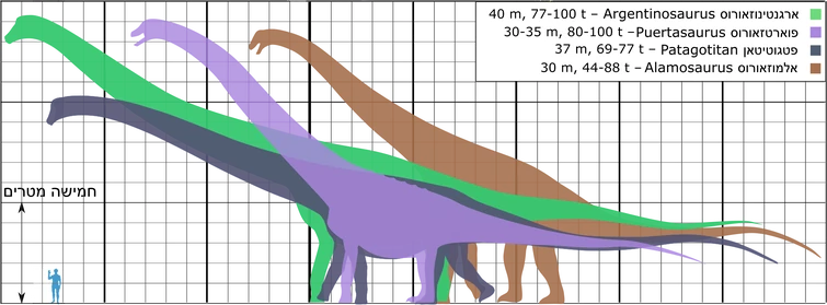 Titanosaurs : Largest Creatures ever | Fandom