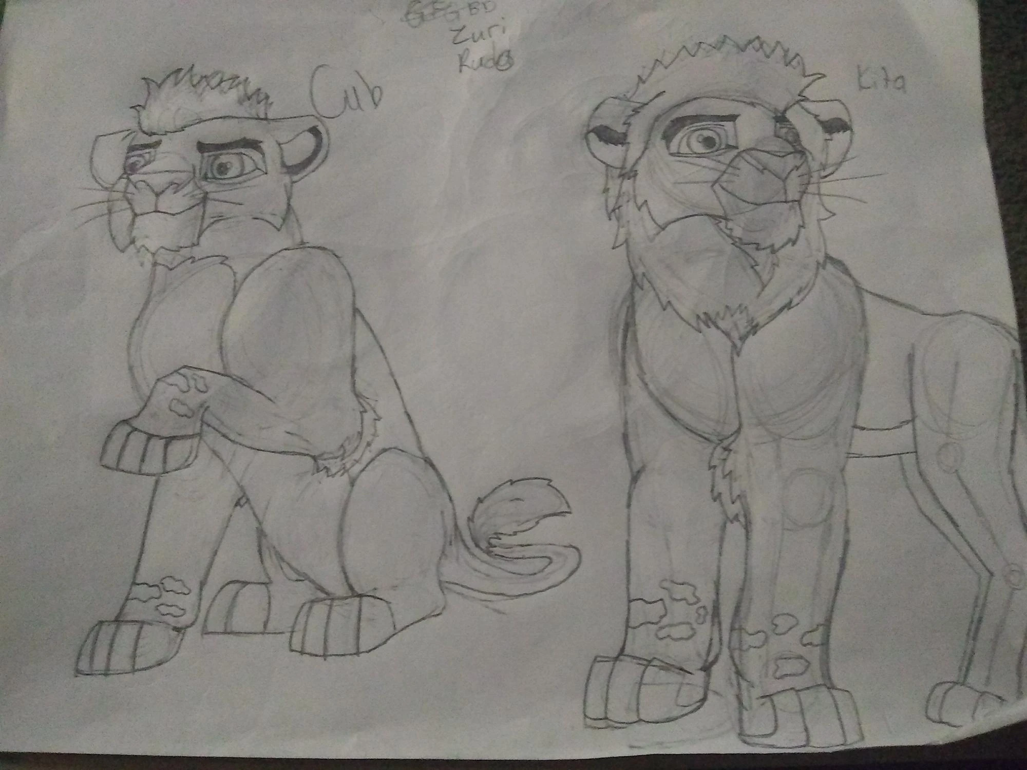 More Lion King Oc Drawings | Fandom
