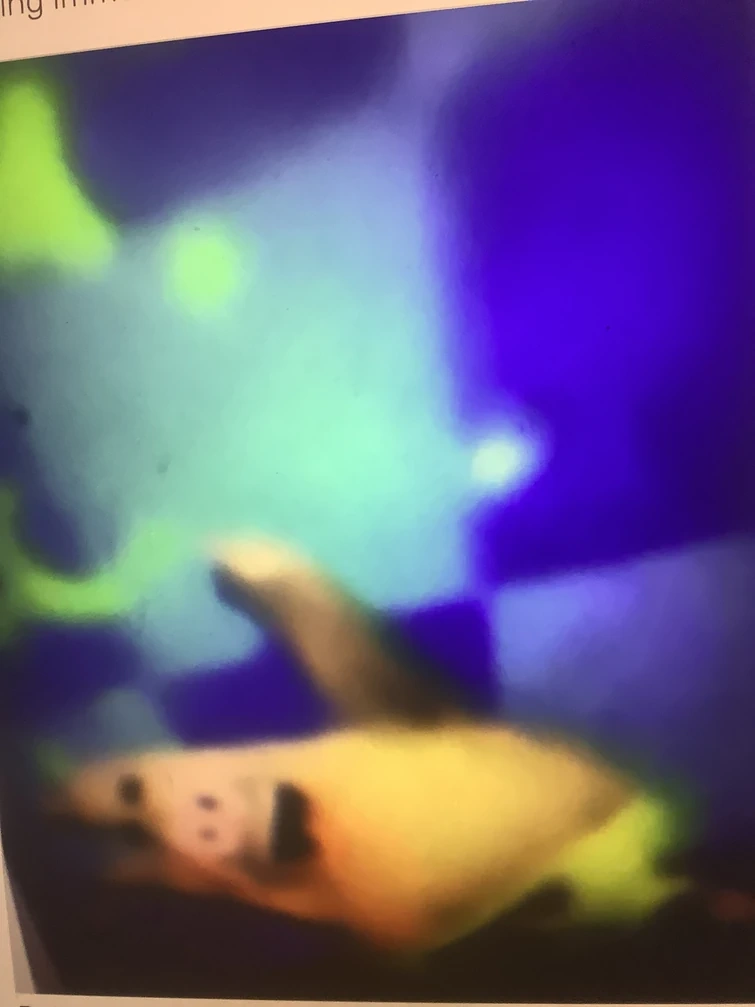 Kenz’s ultimate elimination game round 3 | Fandom