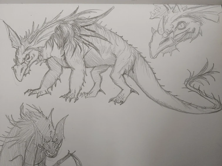 Discuss Everything About How to Train Your Dragon Wiki | Fandom