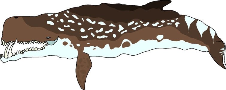 Discuss Everything About Dragon Adventures Wiki | Fandom