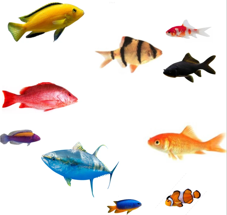 Discuss Everything About Deep Sea Roblox Wiki | Fandom