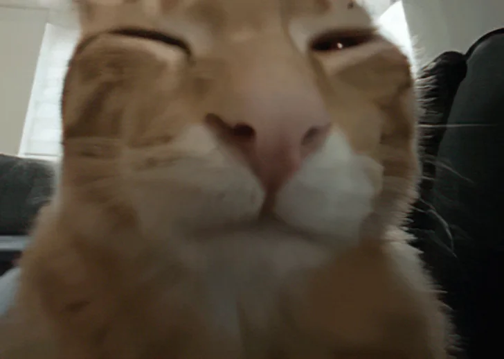 HELP ME!!!! | Fandom