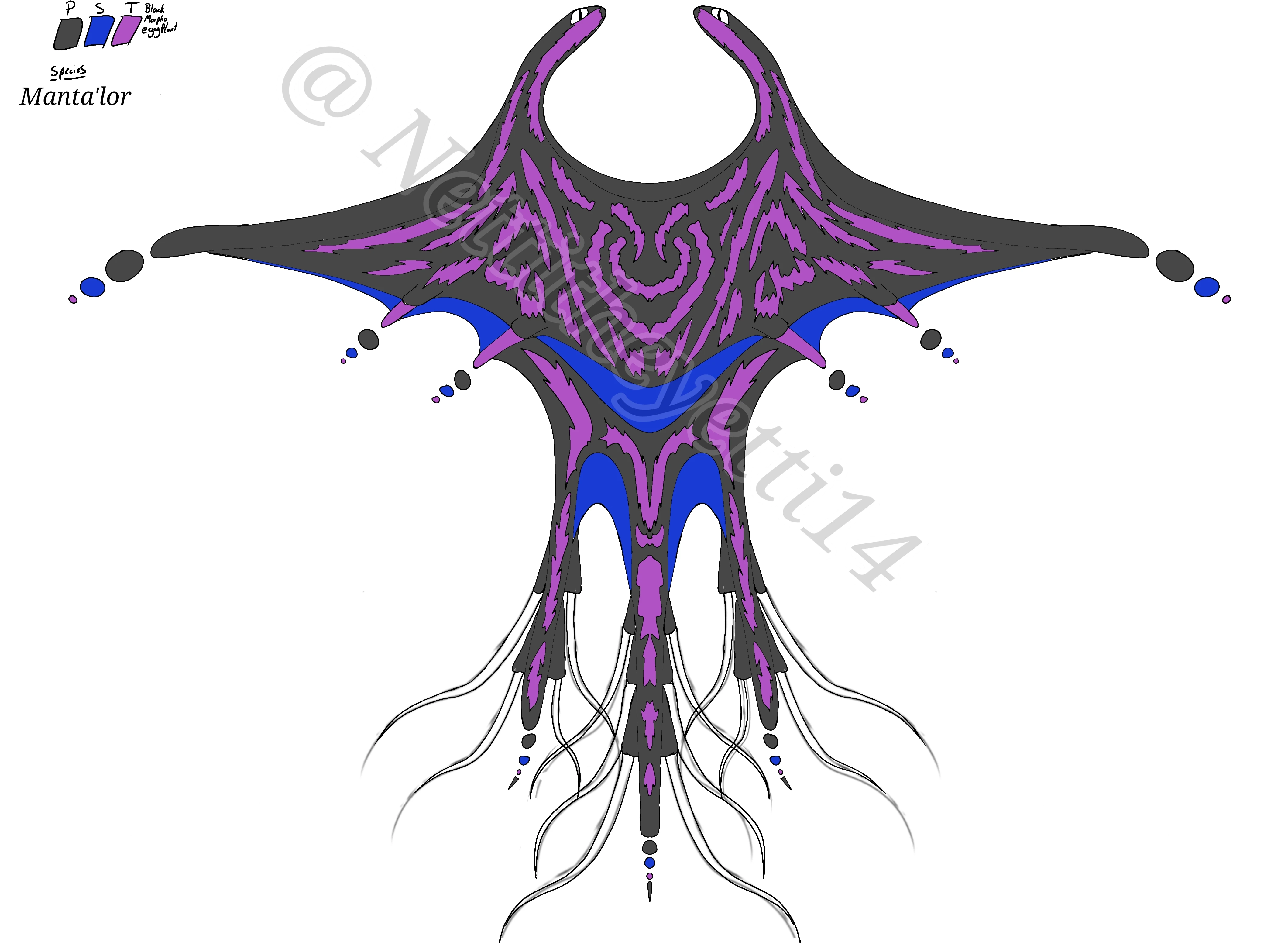 Manta ray/sting ray dragon concept art | Fandom