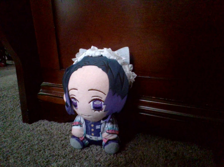 More Shinobu Plushie pics | Fandom