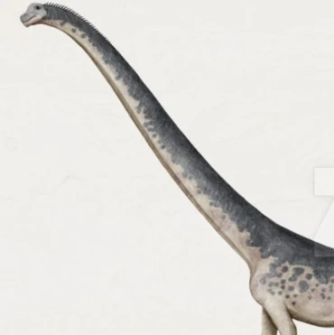 (Who do you like more?)The Mesozoic Cup Season 5 - 1:13 | Fandom