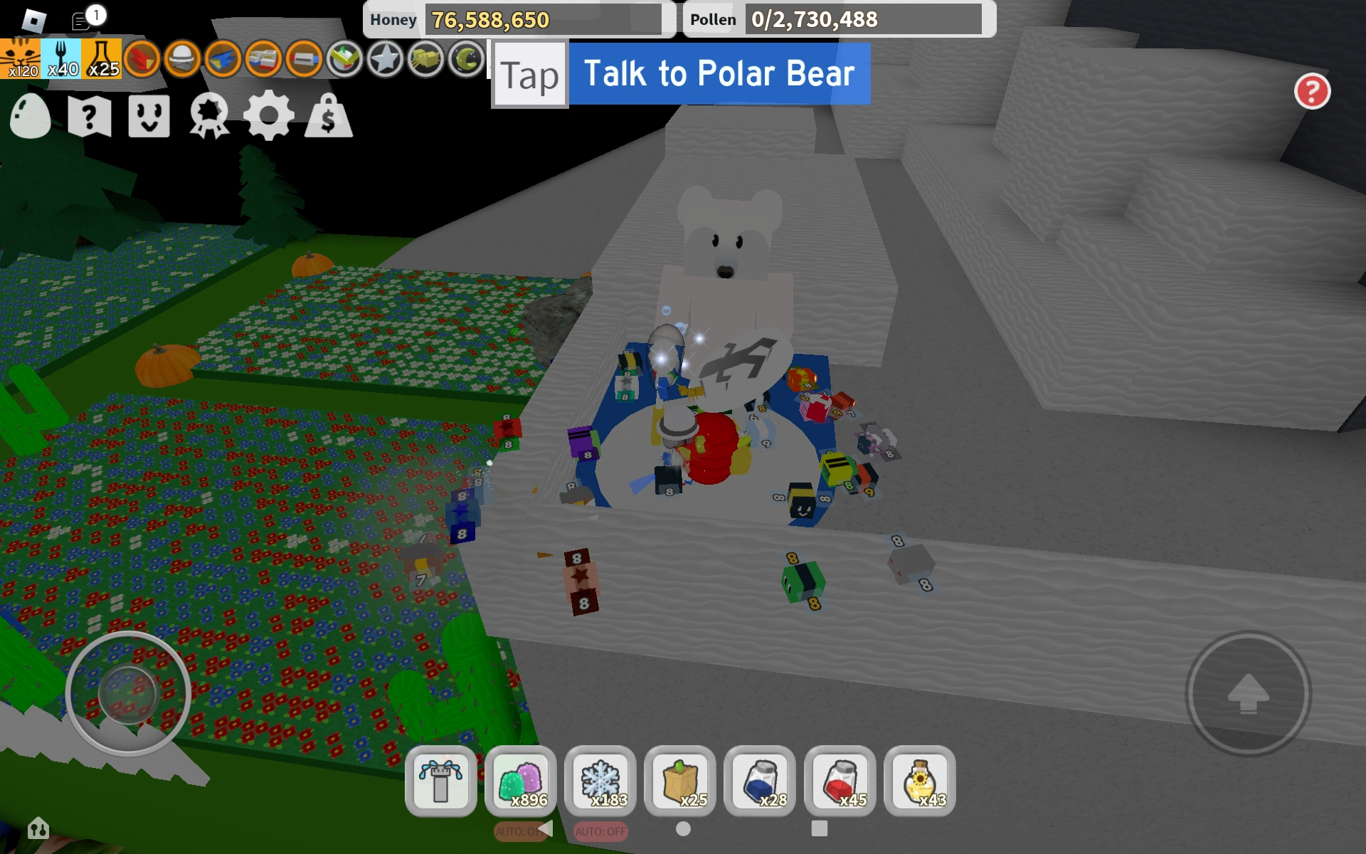 Polar bear??? | Fandom