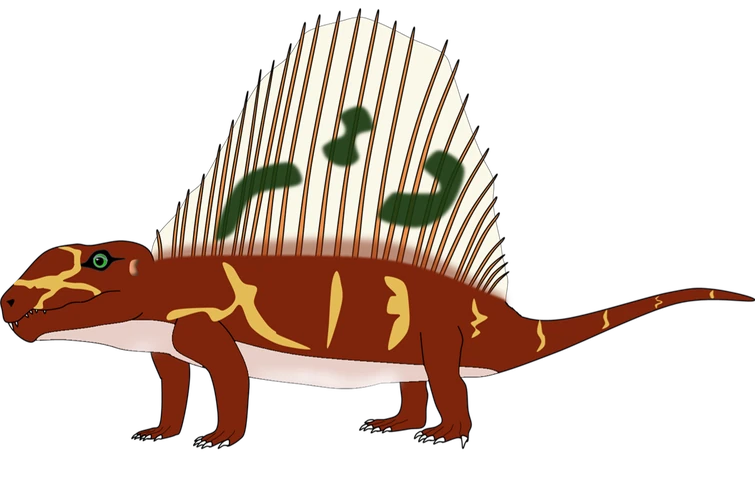 Dimetrodon sp | Fandom