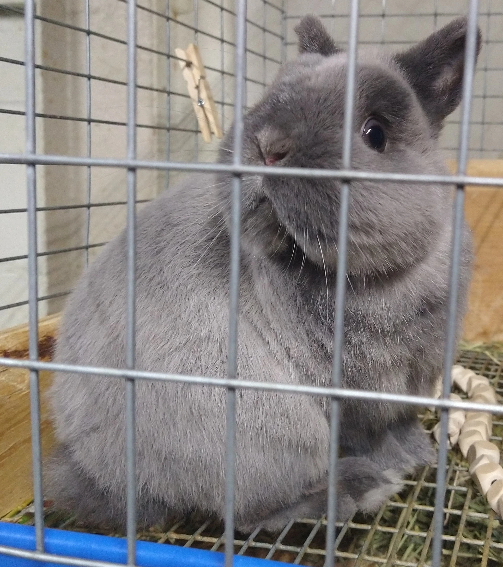 Nah man what **SPOILERS** | Fandom