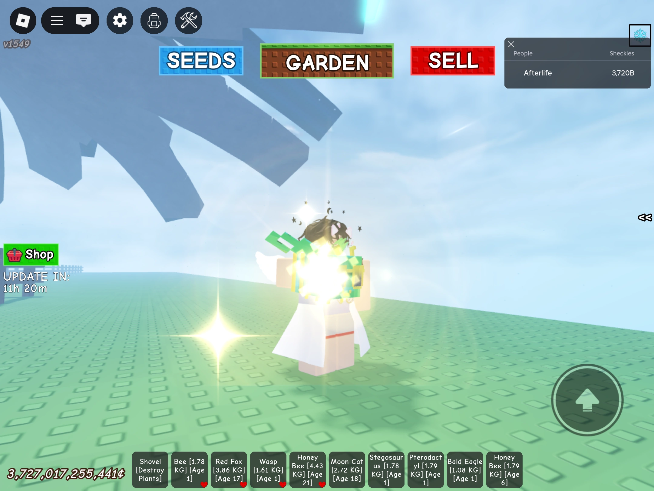 Golden discobee | Fandom