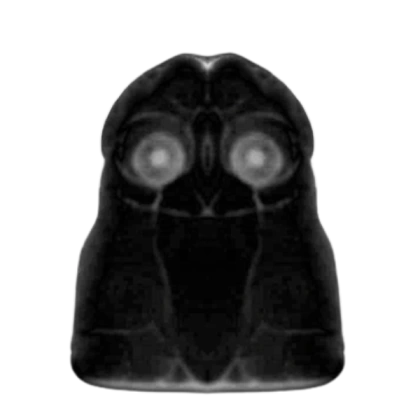 Nextbot Idea | Fandom