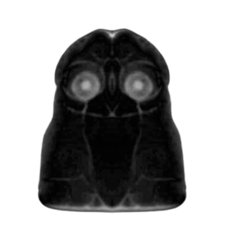 Nextbot Idea | Fandom