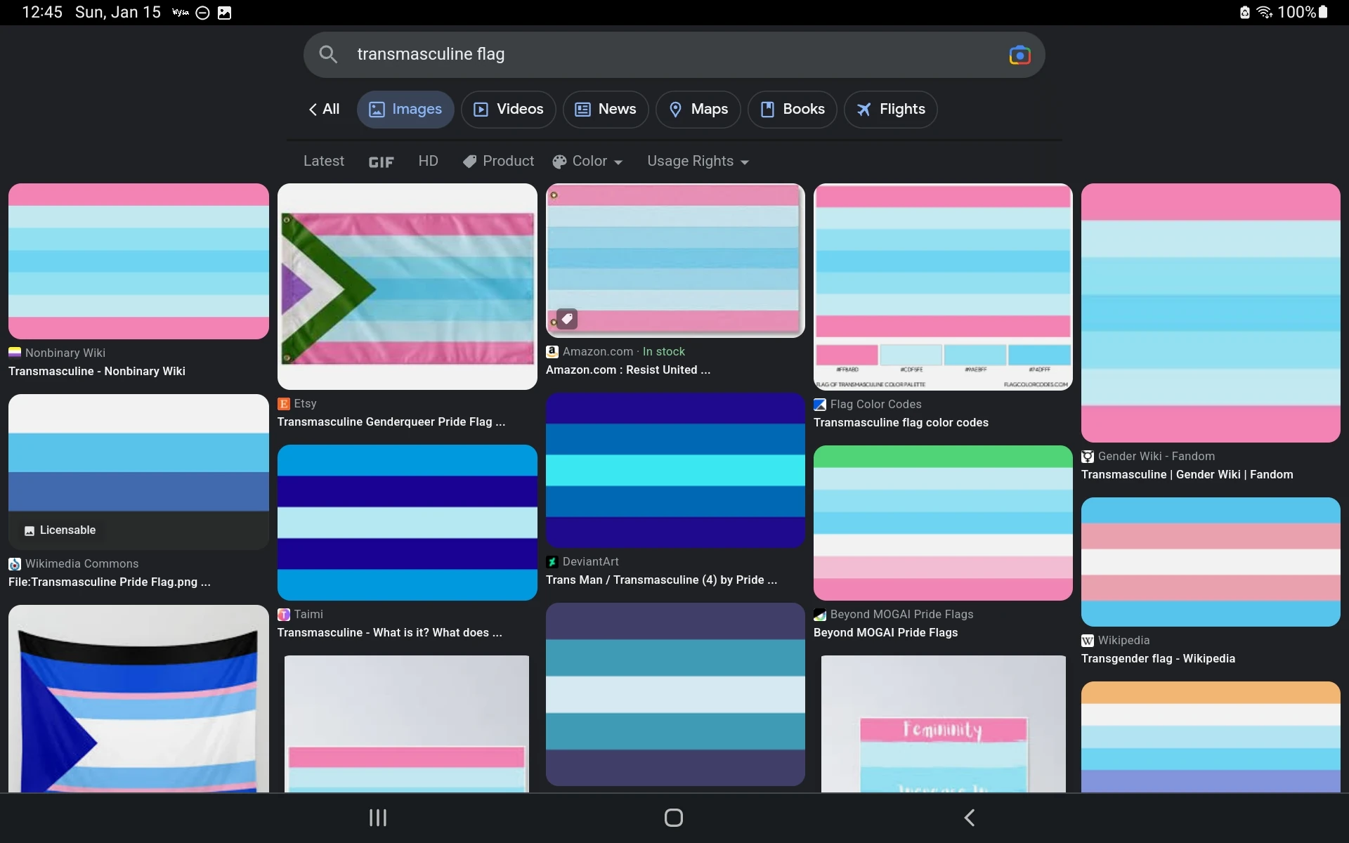 What even is the transmascline flag? | Fandom