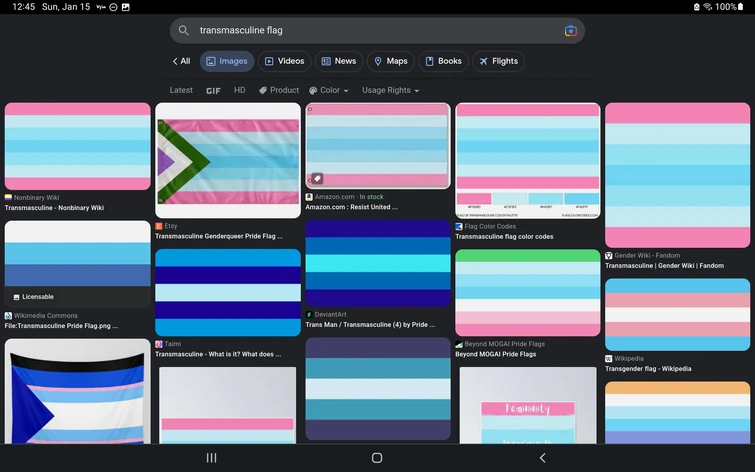 What even is the transmascline flag? | Fandom