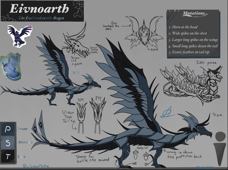 CONCEPT DRAGONS MADE UP!!~ | Fandom