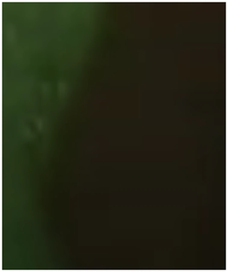 Guess the map #2 (By an image) | Fandom