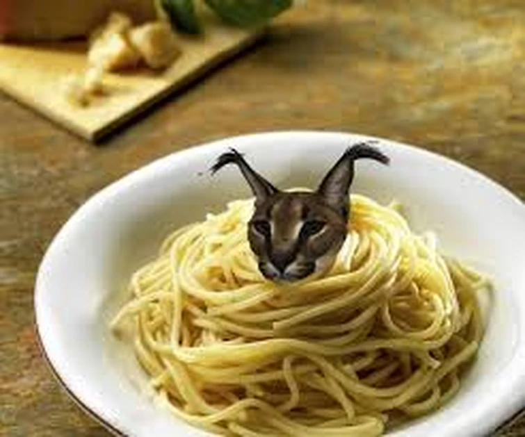 Foods floppa eat (how they are designed) | Fandom