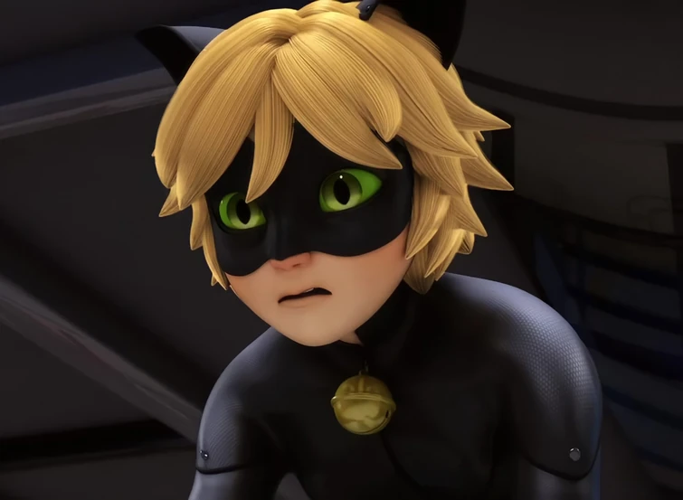 Who looks the best in the Cat Noir suit? | Fandom