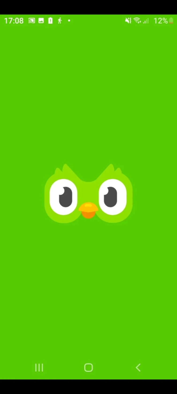 lily and zari from duolingo | Fandom