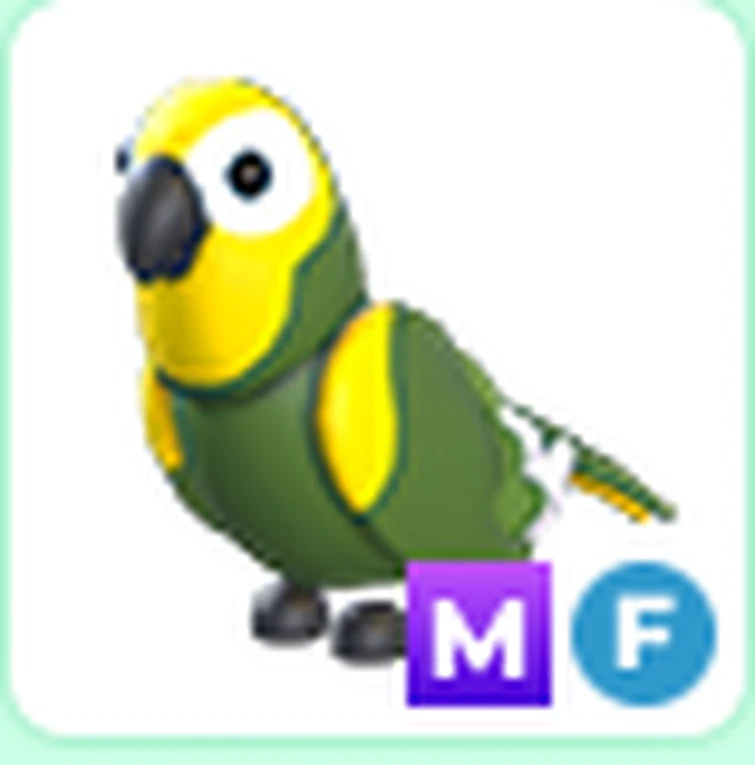 Discuss Everything About Adopt Me! Wiki | Fandom
