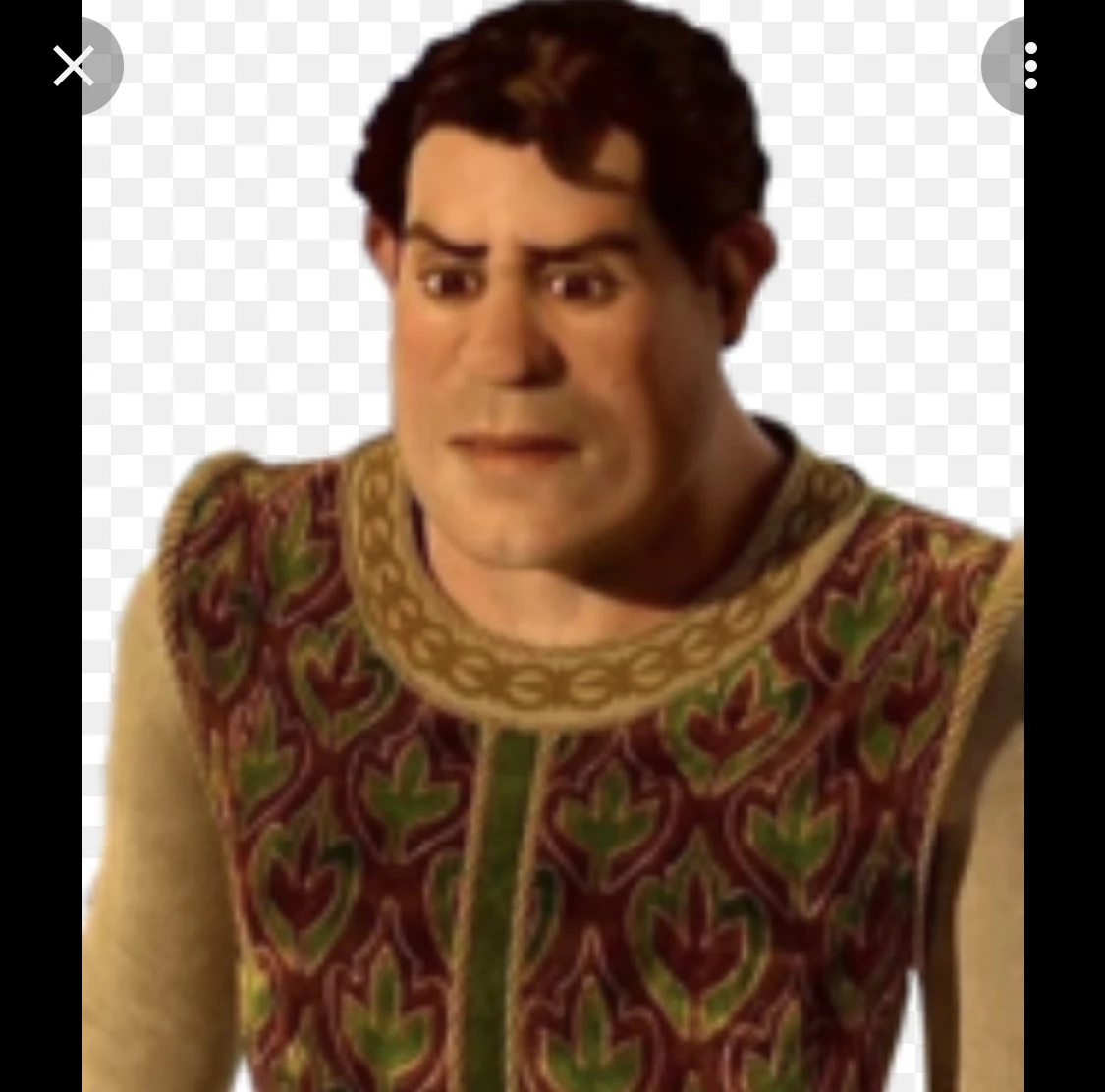 Do you think the human Shrek puppet would look similar to his human ...