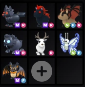 ive seen a few people doing this so heres my dream pets | Fandom